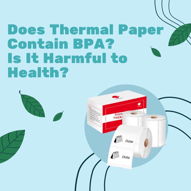 Does Thermal Paper Contain BPA? Is It Harmful to Health? – Phomemo