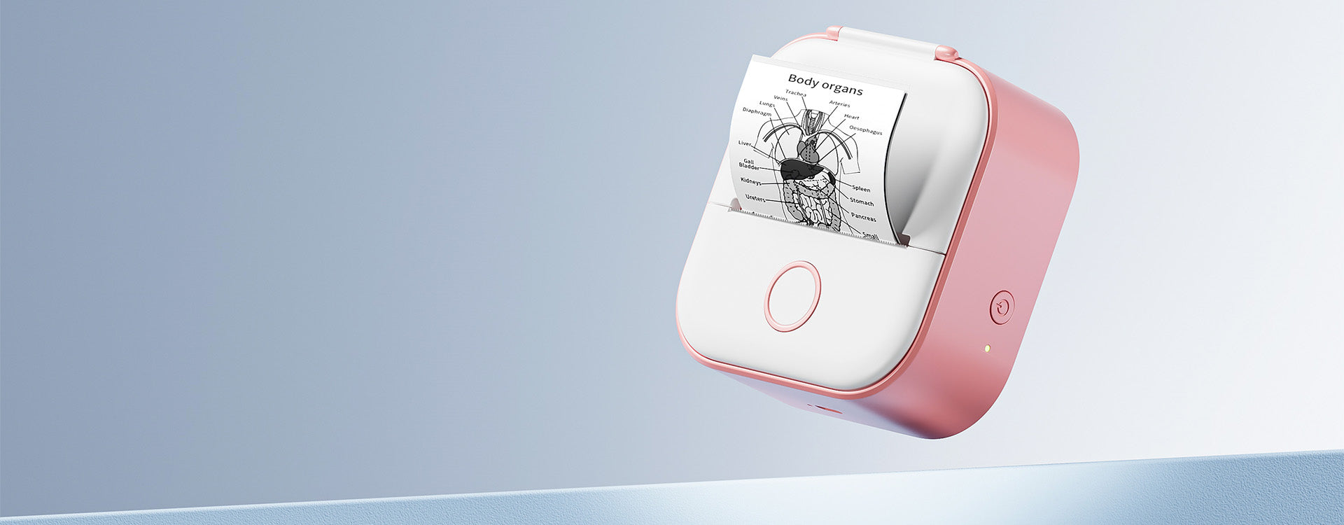 Phomemo® Label Makers Sale| Buy Portable Thermal Printer Worldwide Now